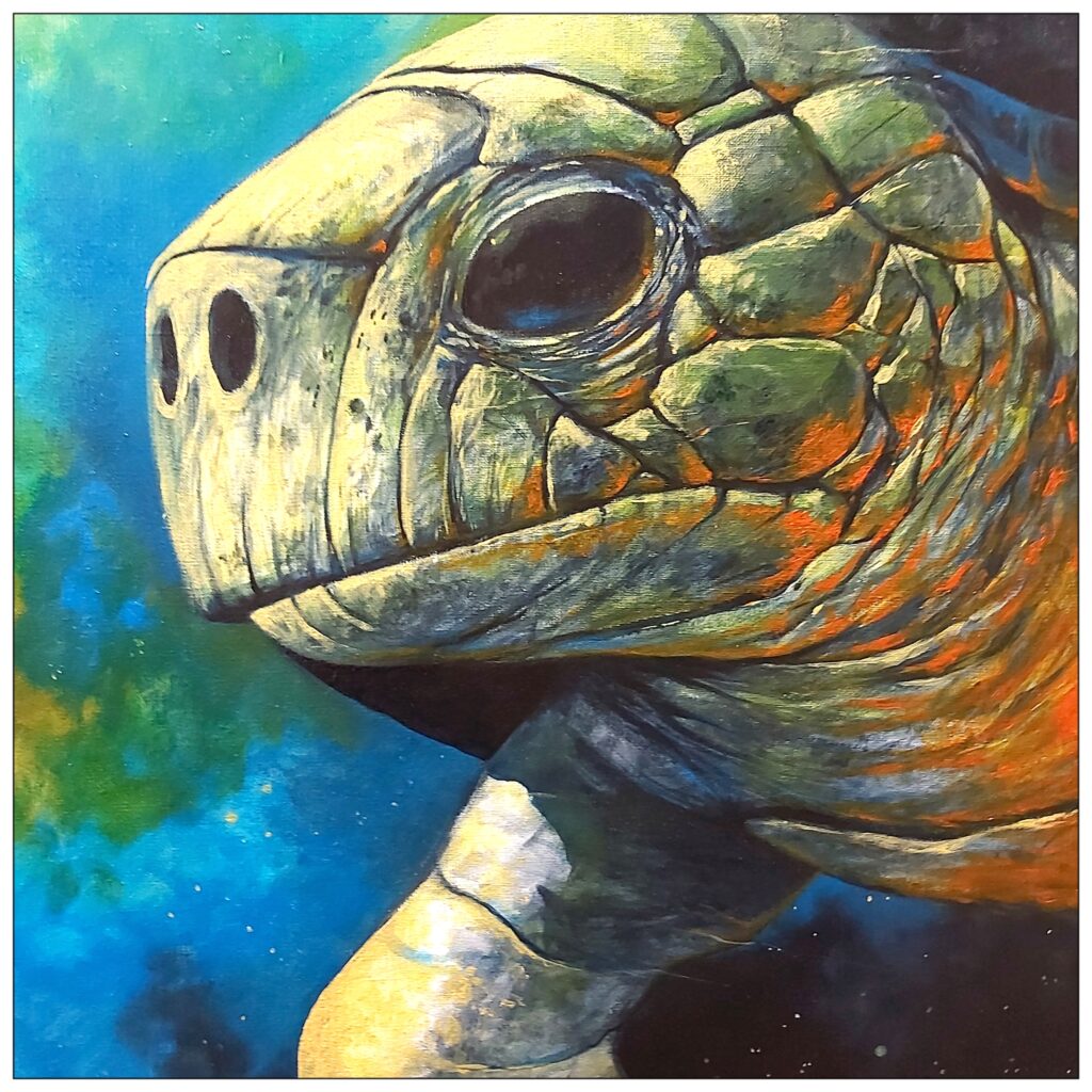 Alex around the world : BUDAPEST – ALEX ILLUSTRATEUR